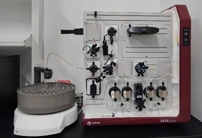 上海市儿童医院_蛋白质分析平台